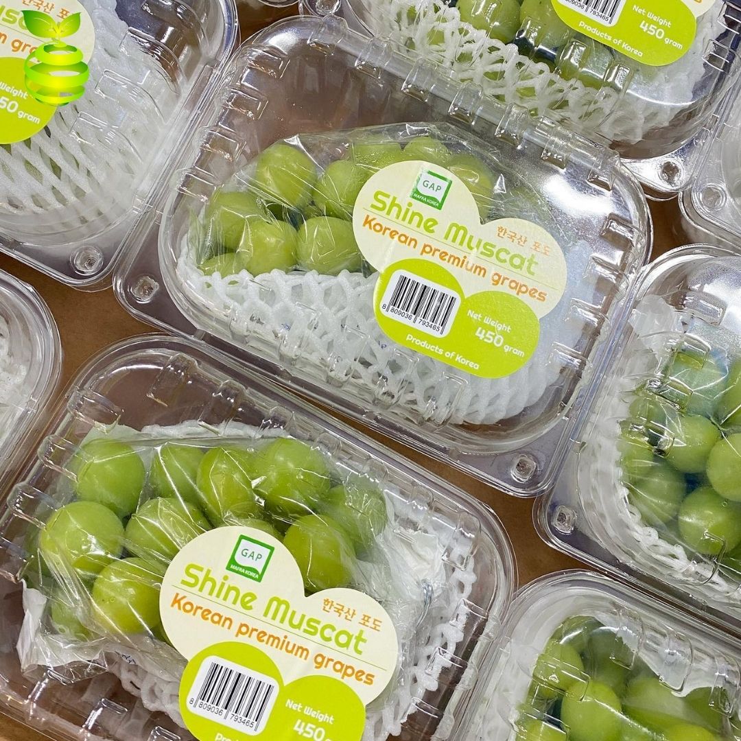 Korean Muscat Grapes (pack) ⭐ – Fresh and Green