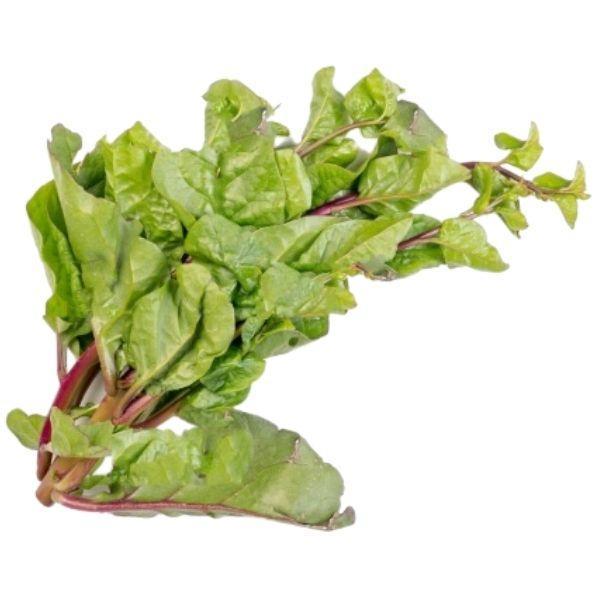 Alugbati (250g) – Fresh and Green