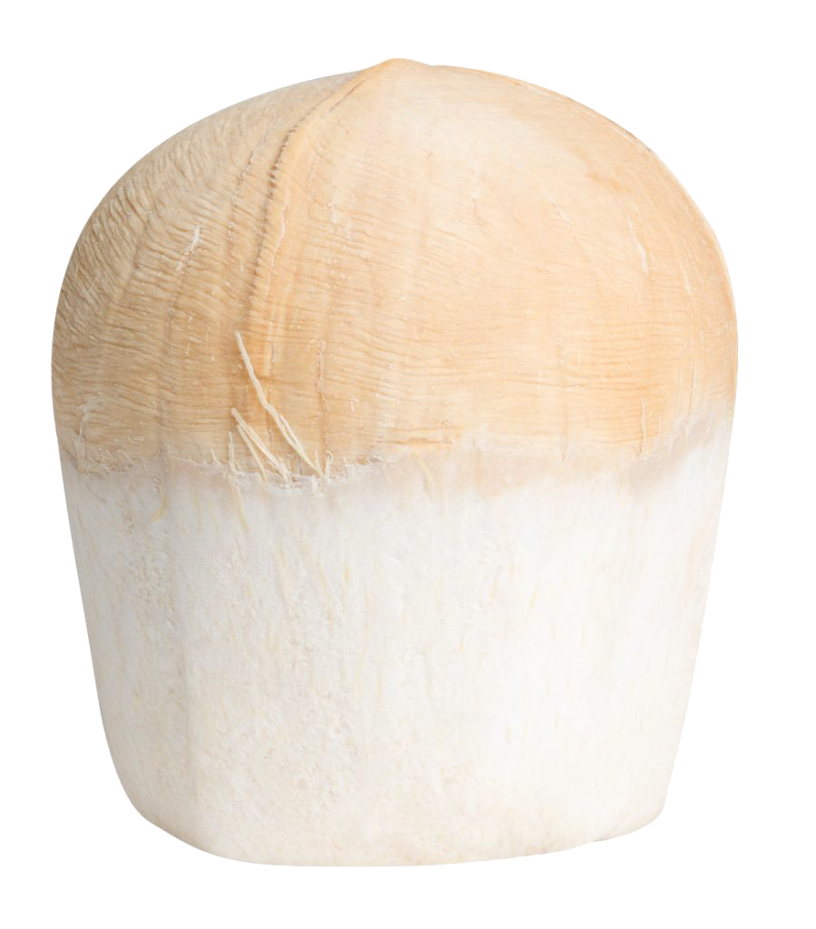 Buko Fresh Sweet Trimmed (piece) – Fresh and Green