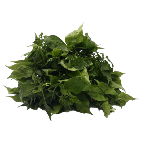 Dahon ng Sili (100g) – Fresh and Green