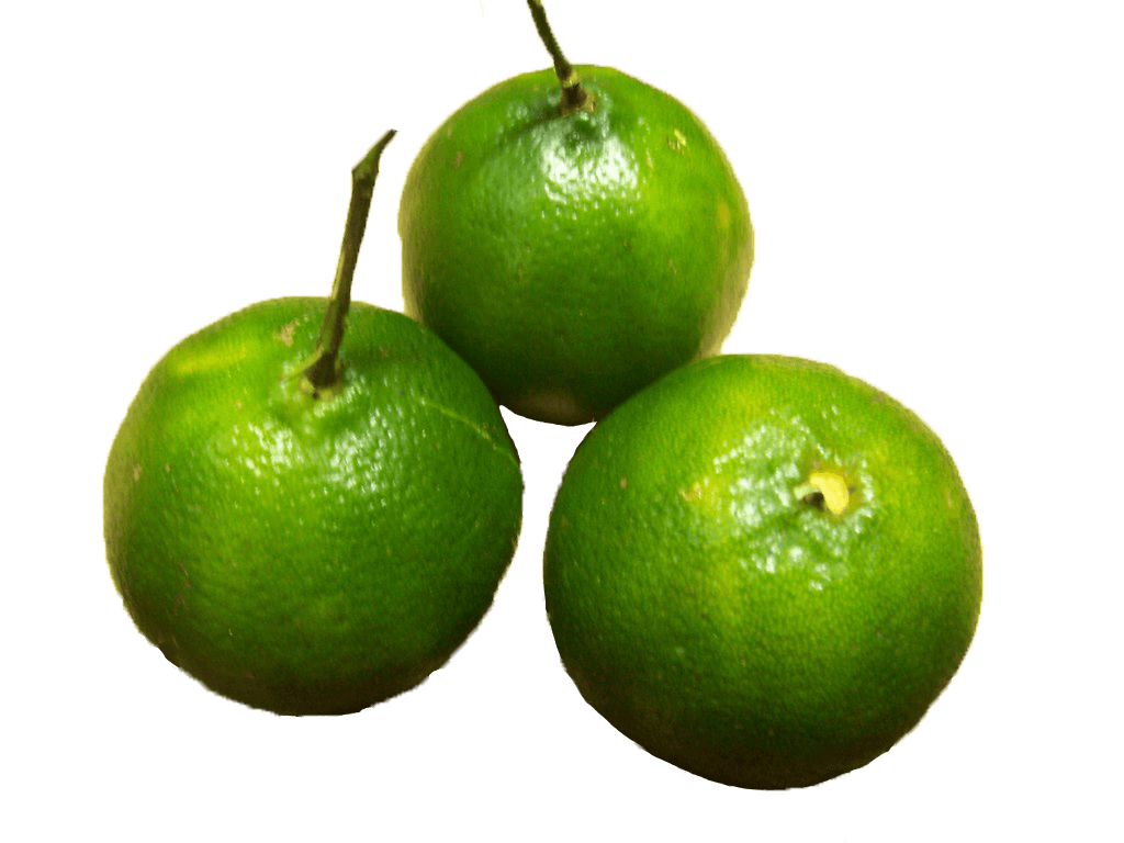 Dalandan (500g) – Fresh and Green