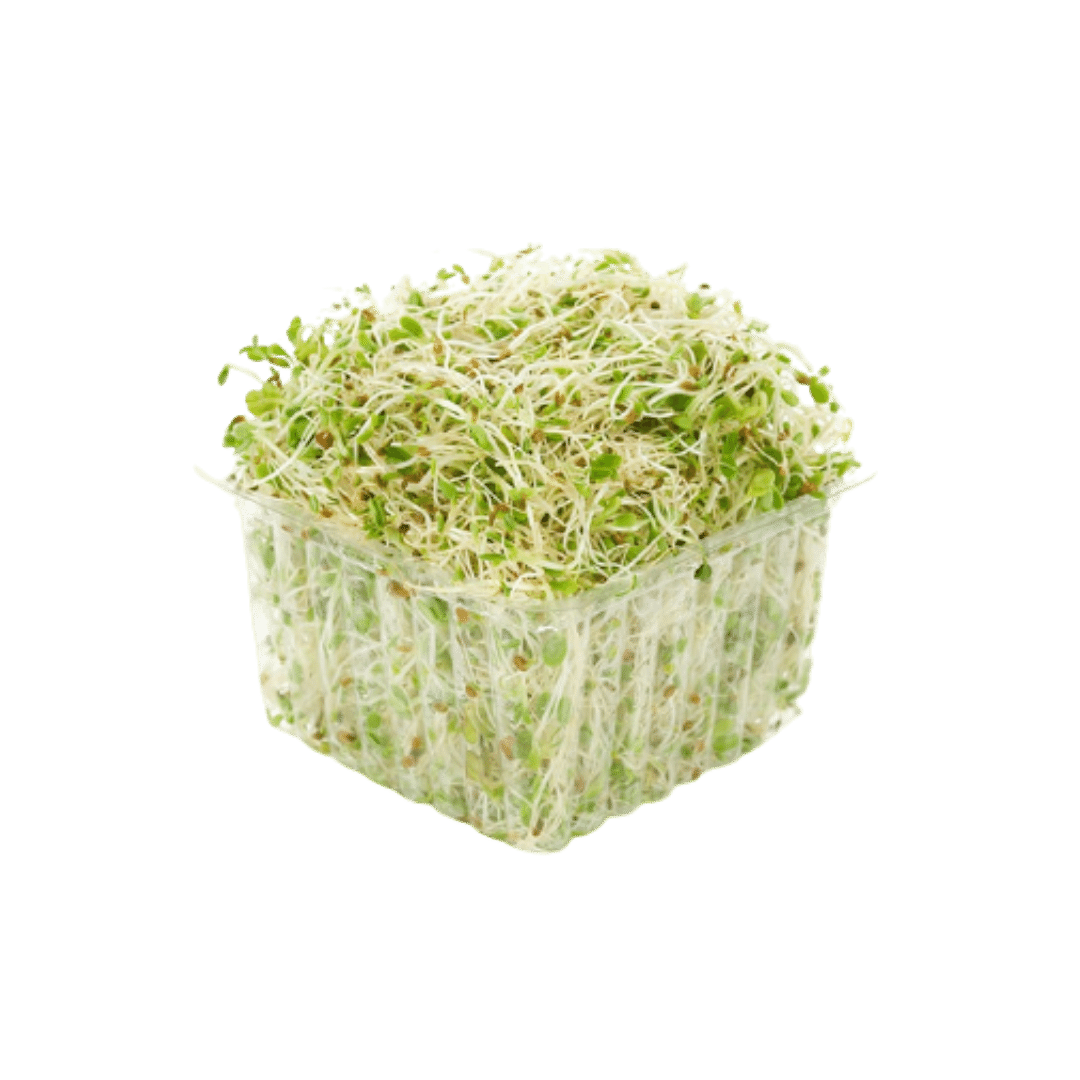 Alfa Alfa Sprout (pack) – Fresh and Green