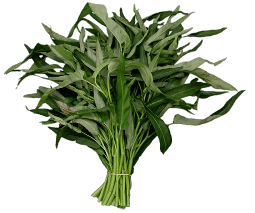 Kangkong (250g) – Fresh and Green