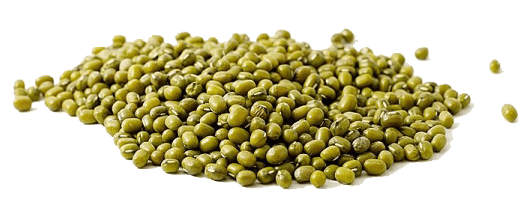 Monggo Beans (250g) – Fresh and Green