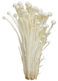 Mushroom Enoki (pack) – Fresh and Green