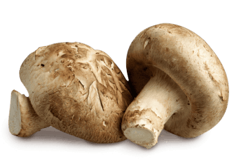 Mushroom Shitake Fresh (250g) – Fresh and Green