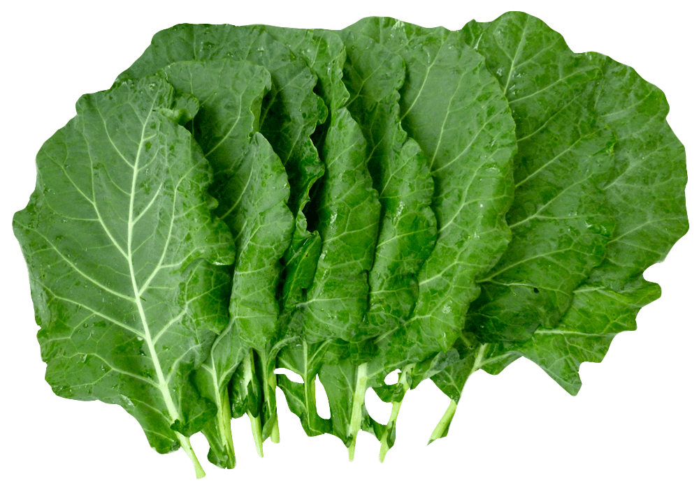 Mustasa Clipart