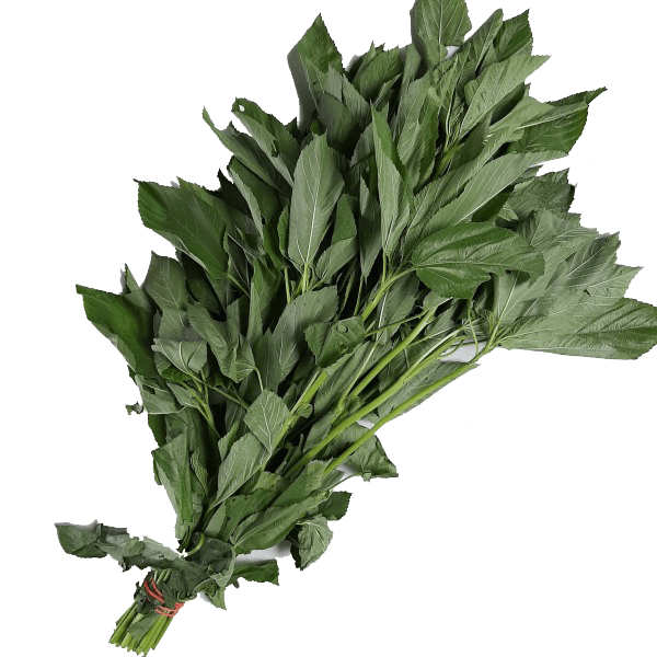 Saluyot (100g) – Fresh and Green