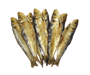 Dried Fish – Fresh and Green