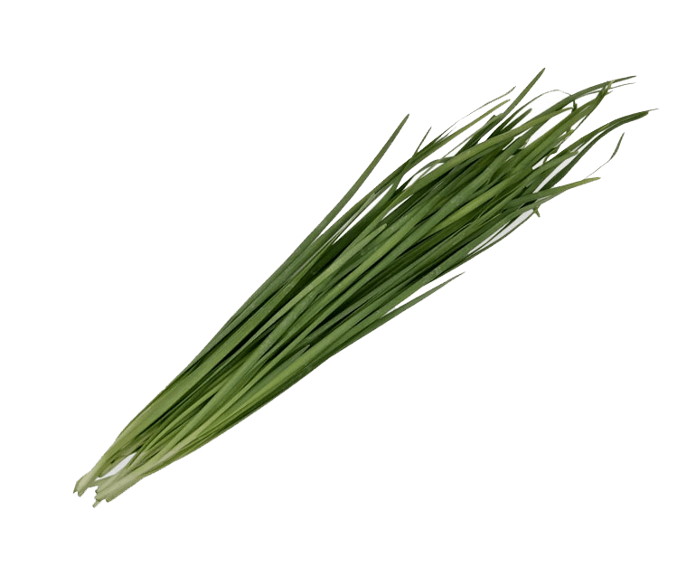 Kuchay Chinese Chives (100g) – Fresh and Green