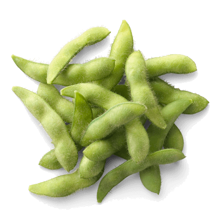 Edamame Japanese (500g/pack) – Fresh and Green